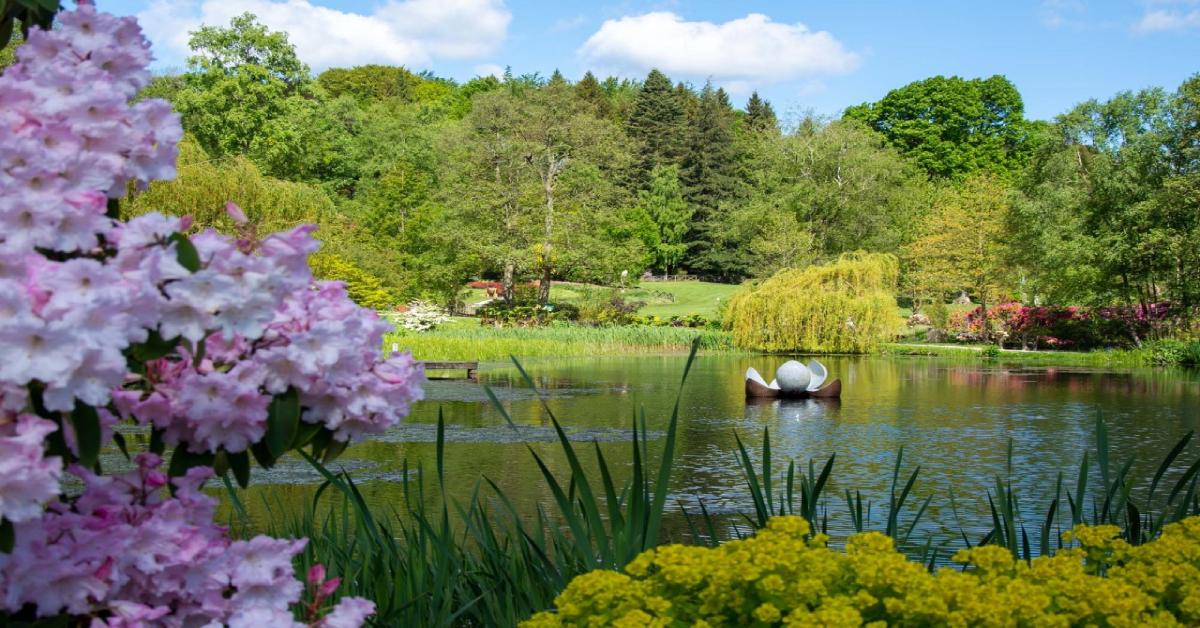 Ripon's Himalayan Garden set to reopen today