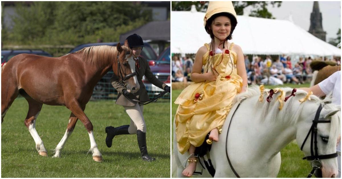 Sunny skies set to stay for tomorrow's Weeton Show
