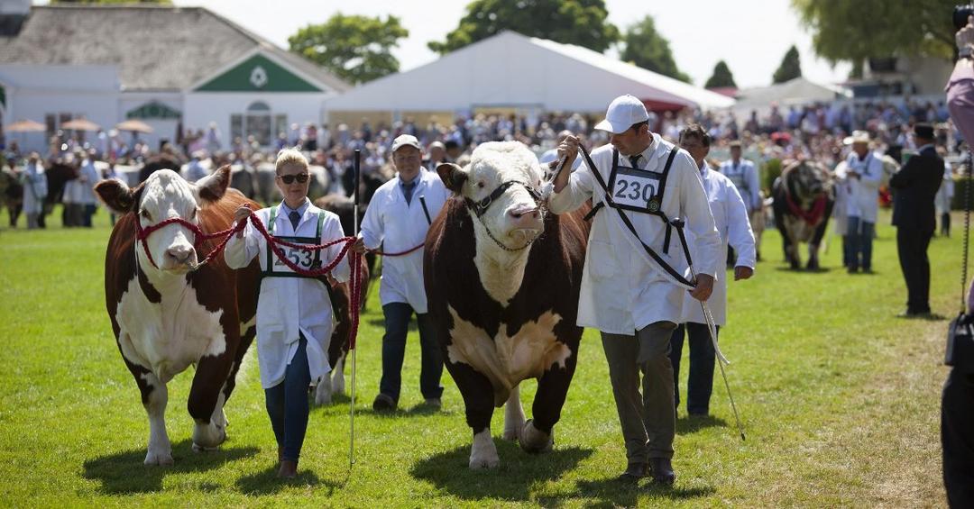 Tickets sold out for two days of Great Yorkshire Show