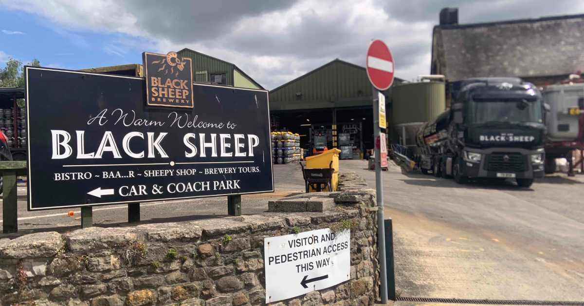 Black Sheep's parent company files notice to stave off liquidation
