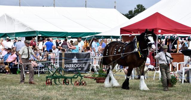 Farming life on display as Tockwith Show returns on Sunday