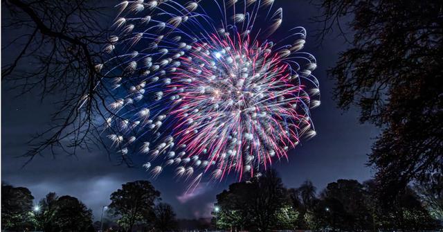 Details of Stray bonfire and fireworks revealed