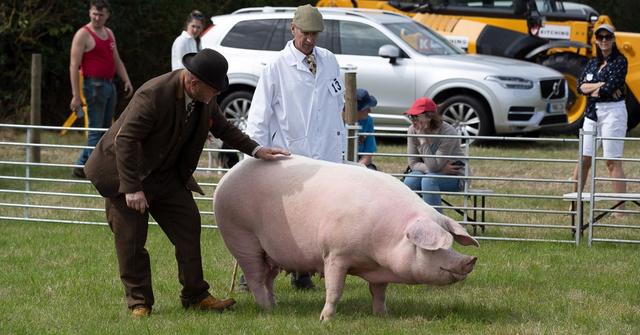 Family fun and rural education on offer at Tockwith Show