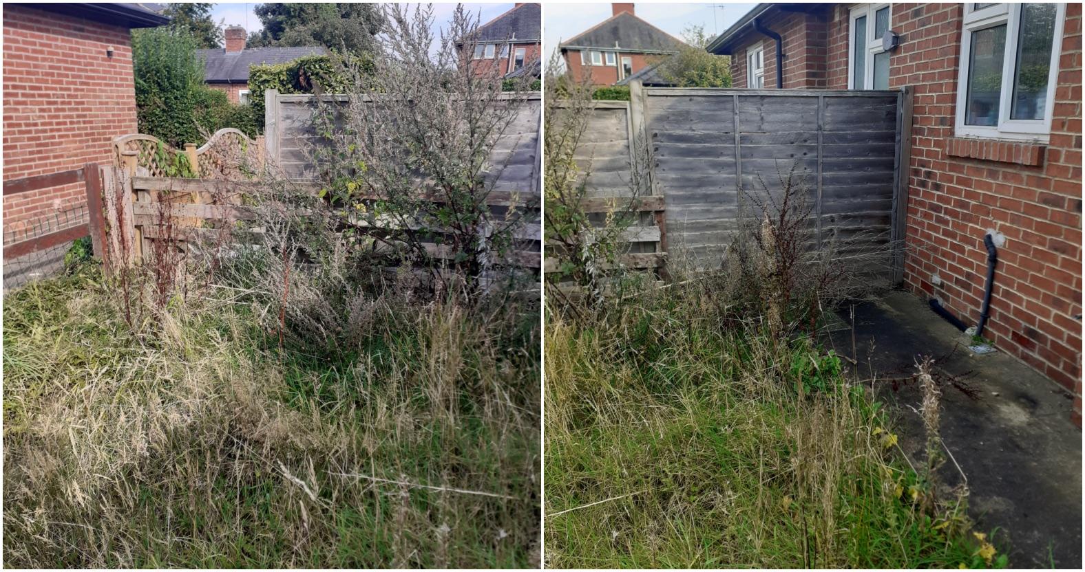 Disabled Harrogate woman's battle to get council to clear 'waist-high ...