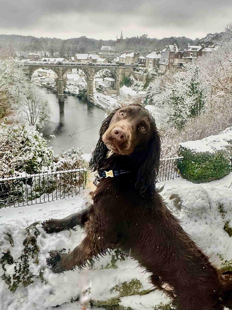 GALLERY: A wild day of weather in Harrogate district