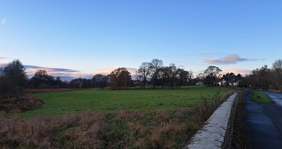 Great Ouseburn charity hits target to purchase local nature reserve