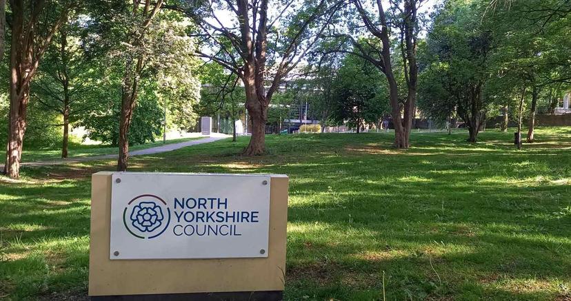 North Yorkshire Council to set up another company