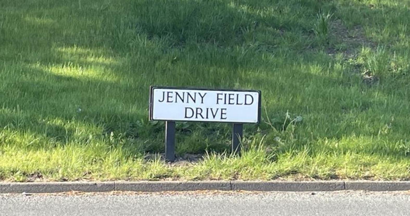 Man admits spitting at police officers in Jennyfields