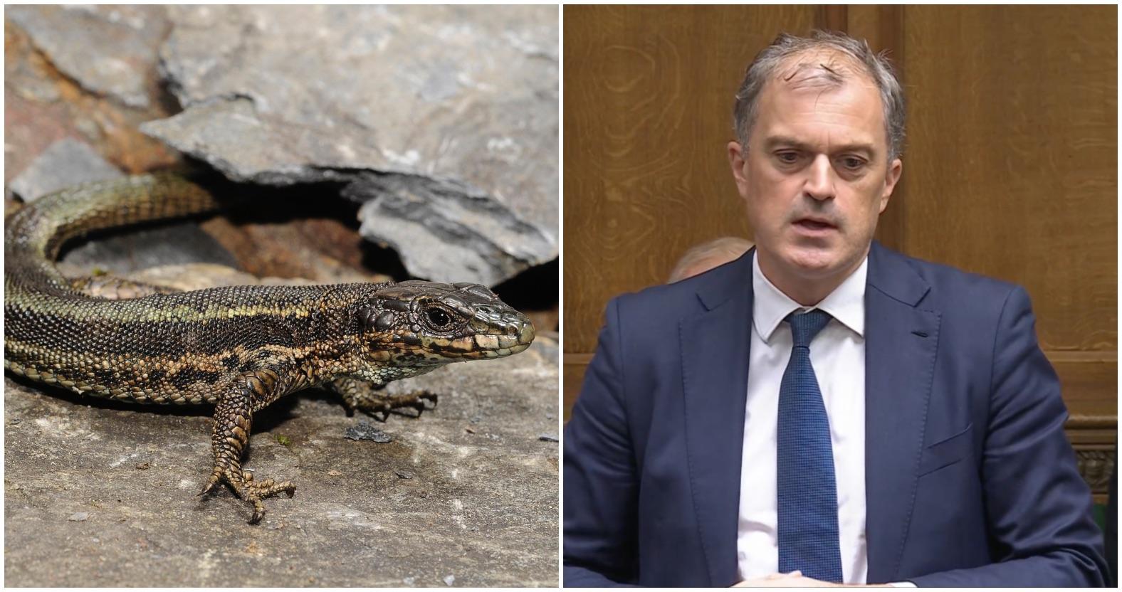 Ripon MP: Lizard bathing rocks ‘inflated’ £82.5m Kex Gill cost